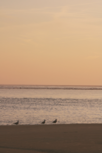 The Fear of Joy: Understanding Foreboding Joy and How to Embrace It ...